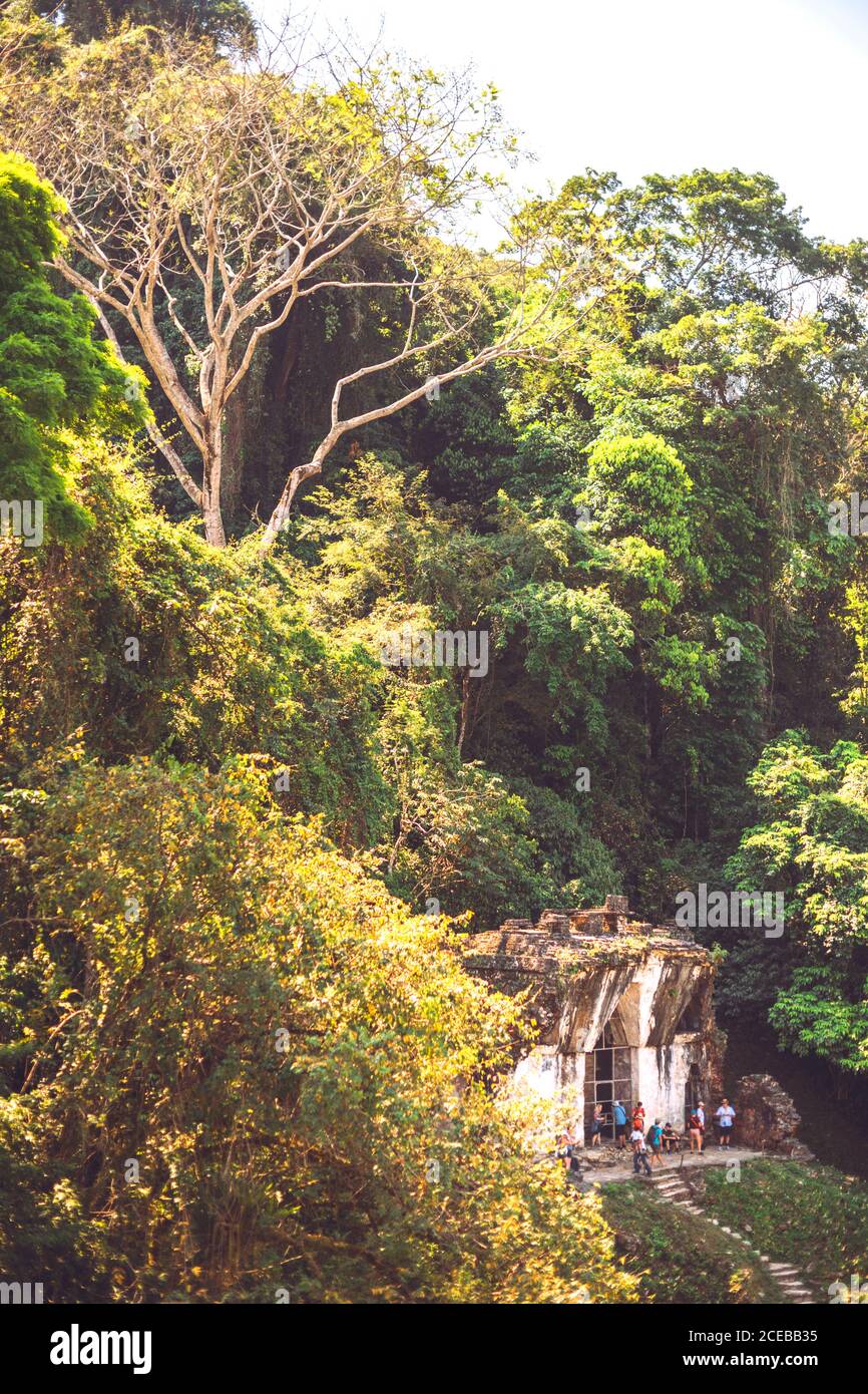 View of amazing Mayan pyramid located in Palenque city in Chiapas ...
