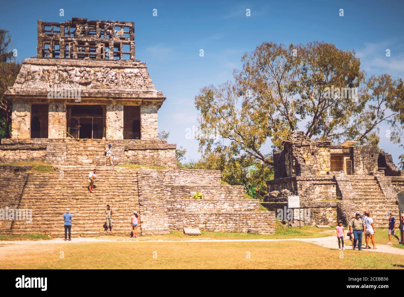 View of amazing Mayan pyramid located in Palenque city in Chiapas ...