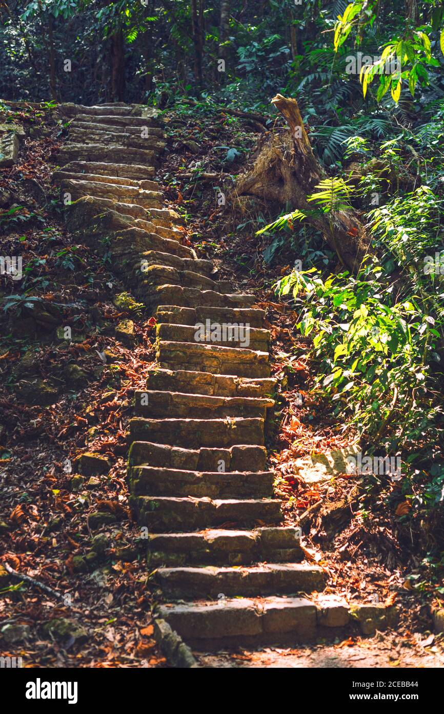 Damaged steps mayan staircase located palenque city chiapas hi-res ...