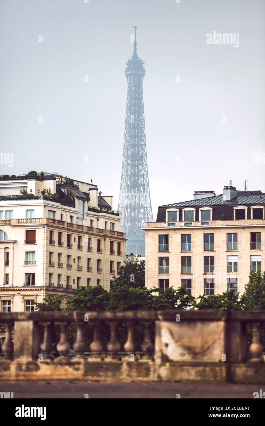 Houses of Paris standing among green trees on background of Eiffel ...