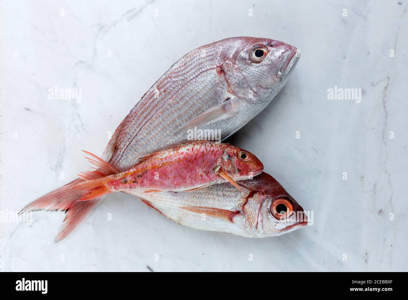 From white marble fish hi-res stock photography and images - Alamy