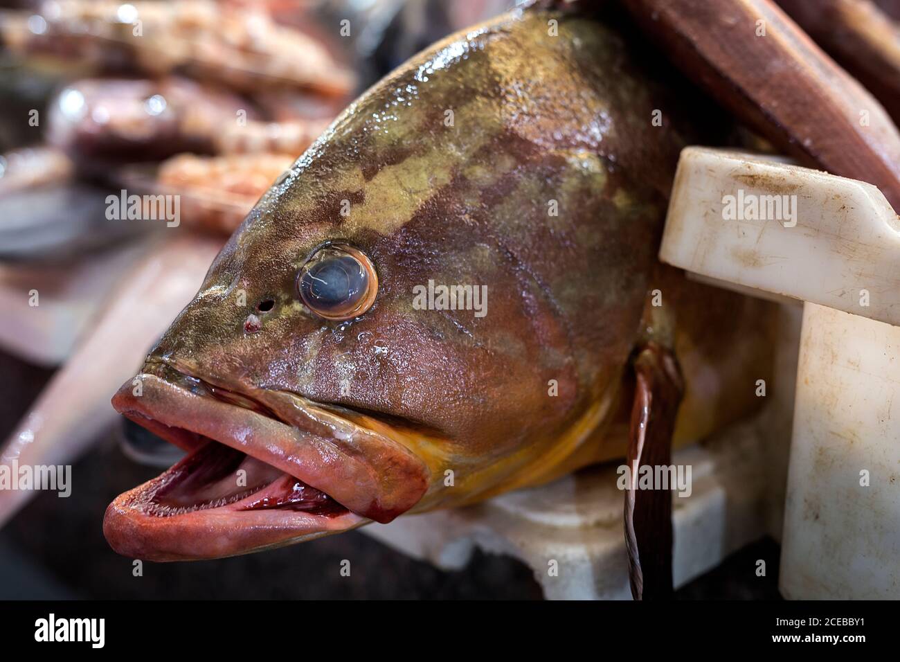 Traditional mere hi-res stock photography and images - Alamy