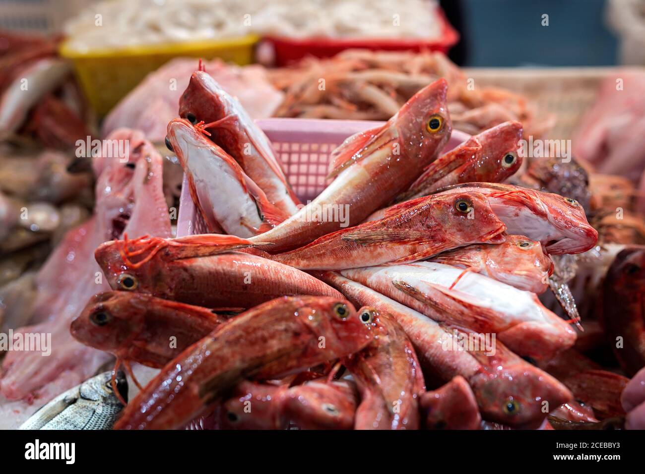 Rockfish seafood hi-res stock photography and images - Alamy