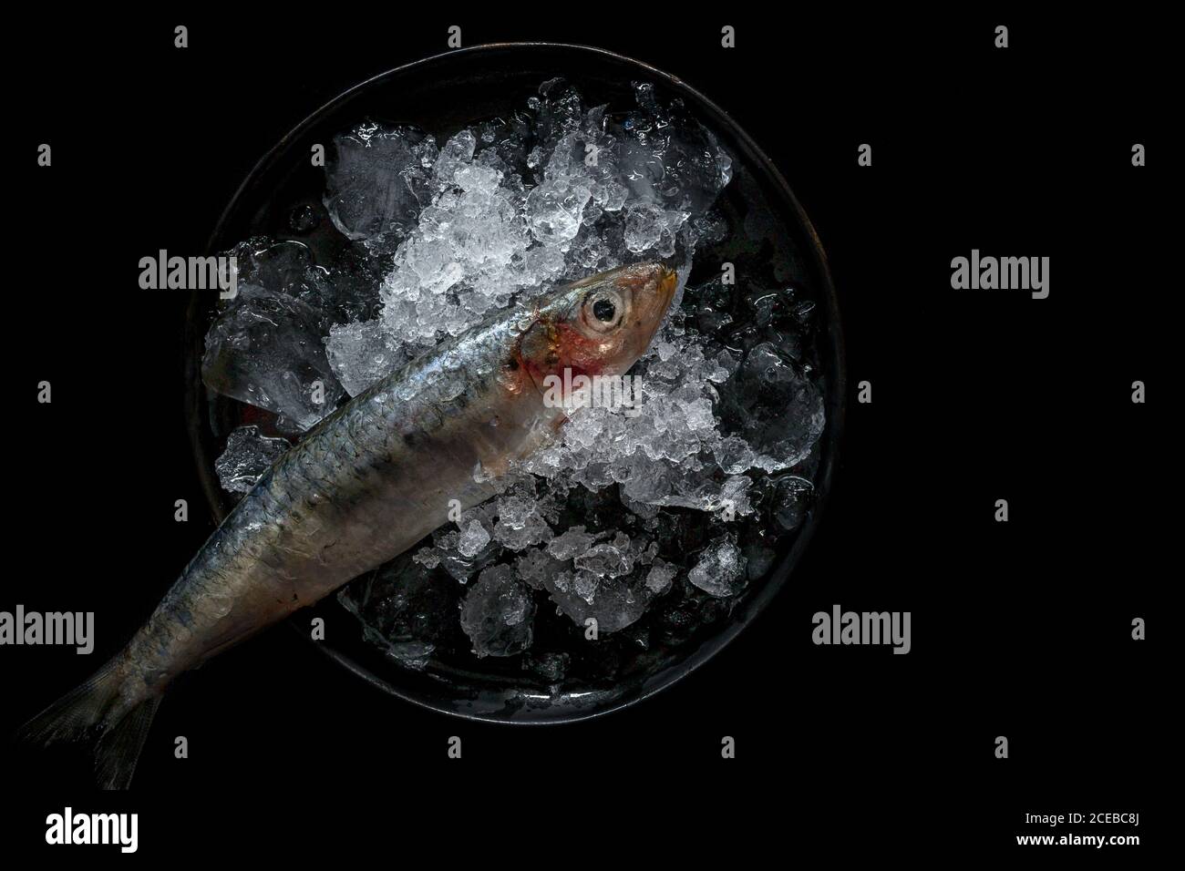 Fresh sardines Raw with ice. Flat lay; top view; On dark background ...