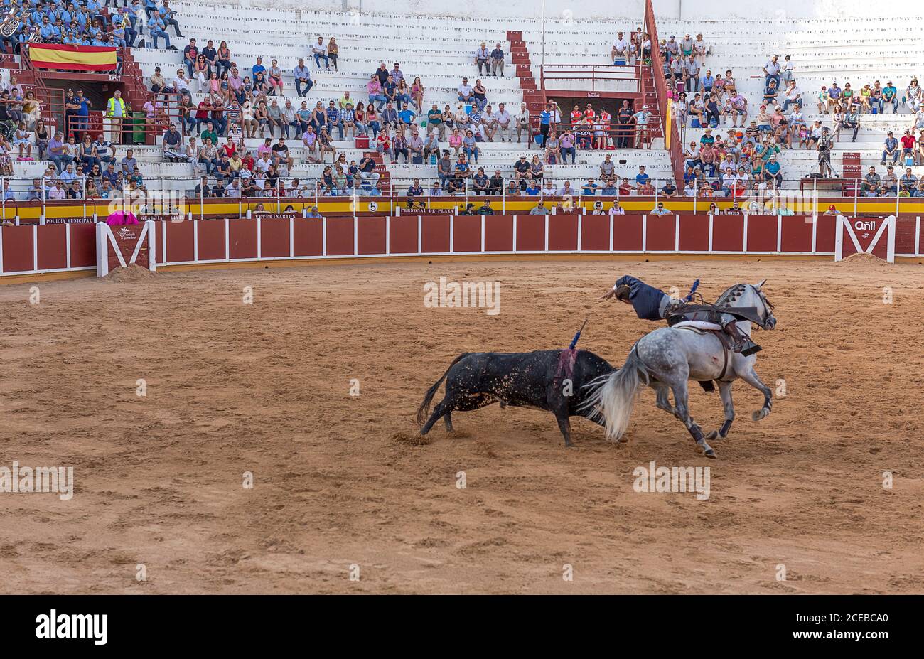 Bull fighting horse hi-res stock photography and images - Alamy