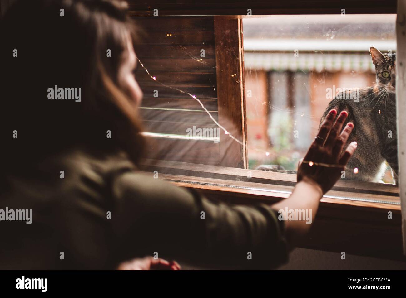 anonymous female touching window glass near kitten Stock Photo - Alamy