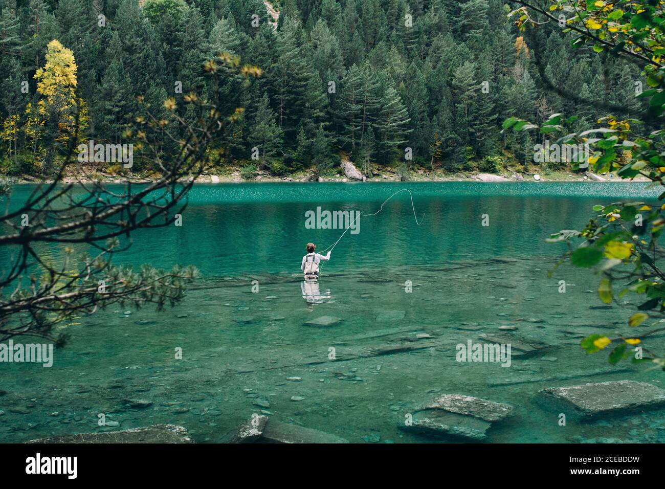Back view of man standing in clean water of beautiful lake and fishing ...