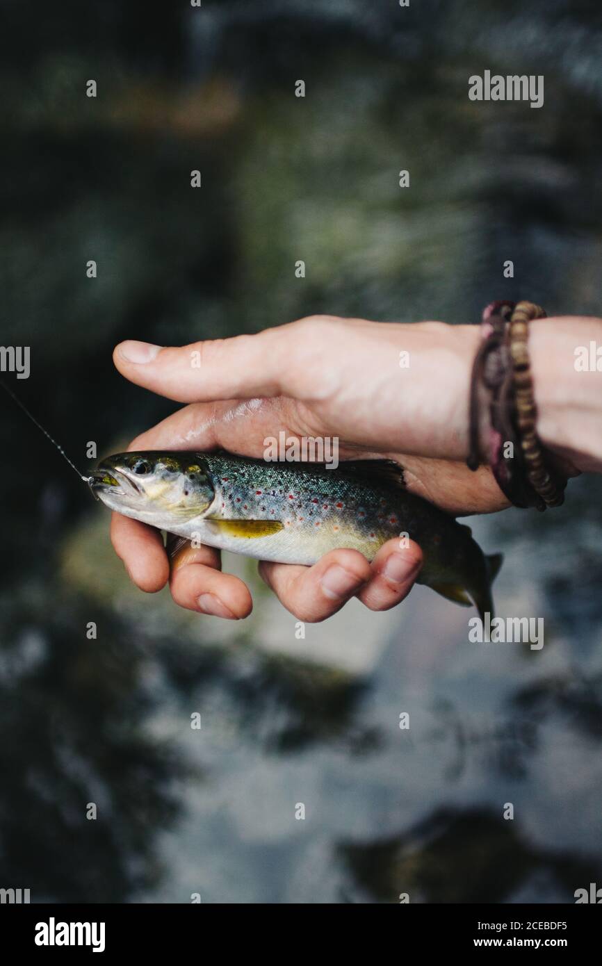 Hand pierced hi-res stock photography and images - Alamy