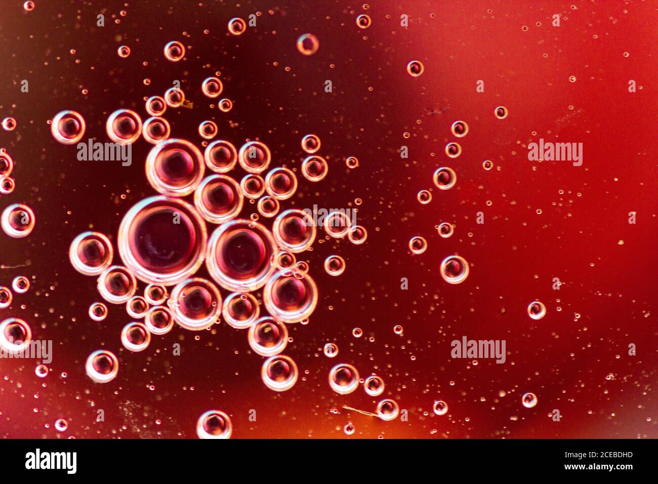 From above closeup many abstract red and pink water bubbles on glass on ...