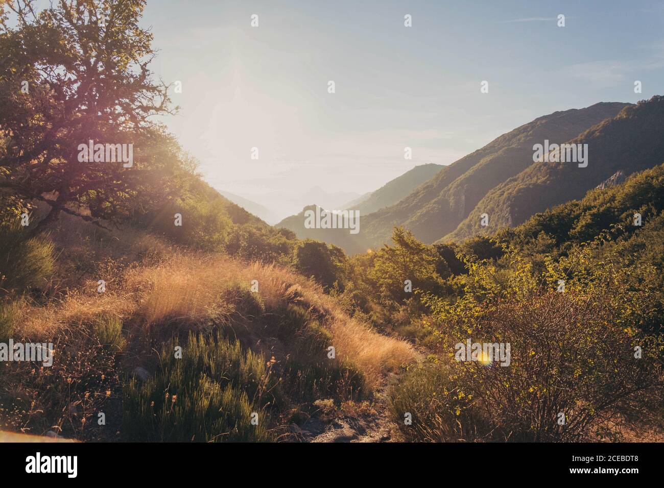 Amazing landscape of valley in high mountains with golden autumn ...