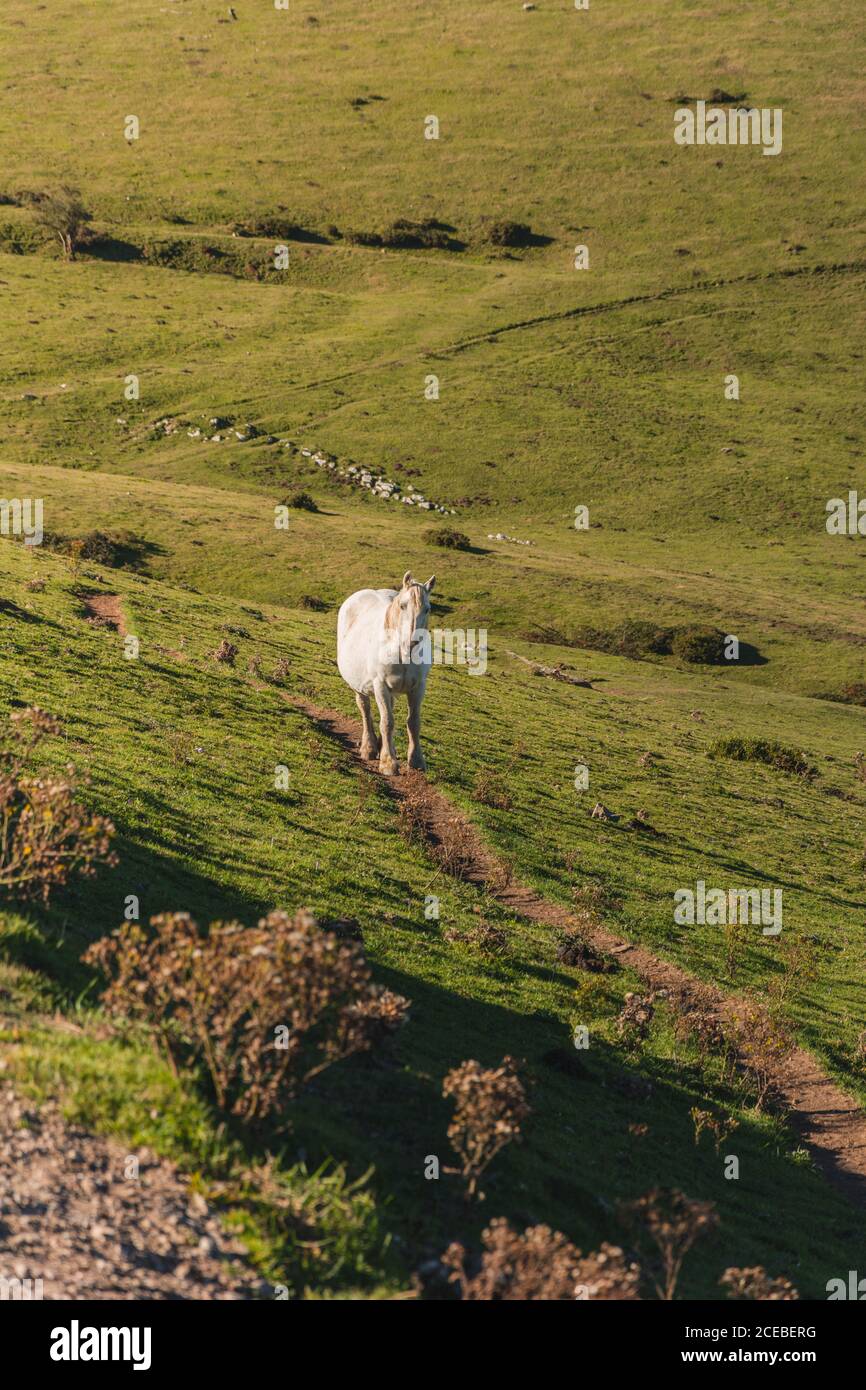 Pathway in nature hi-res stock photography and images - Alamy