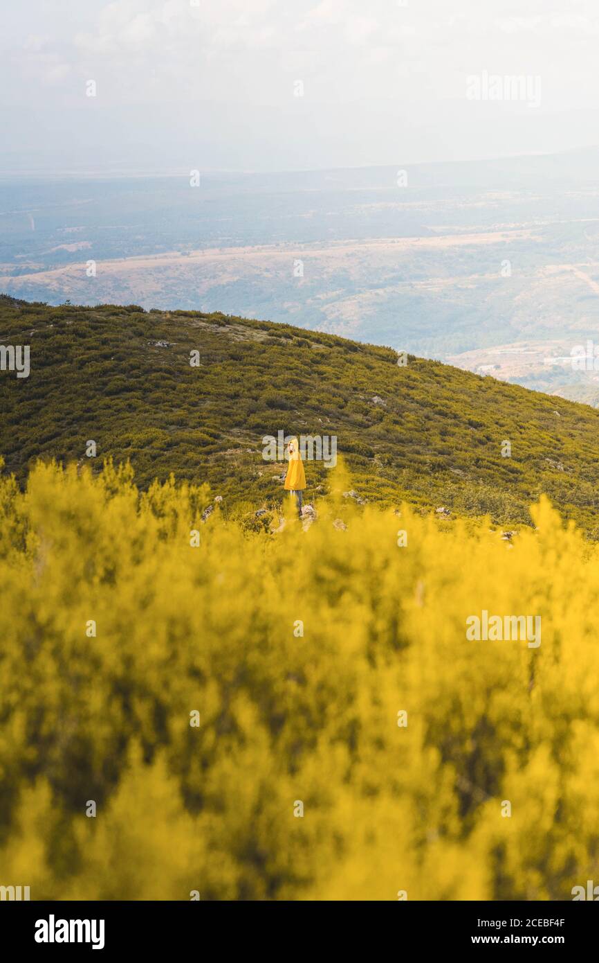 Top view unrecognizable person hi-res stock photography and images - Alamy