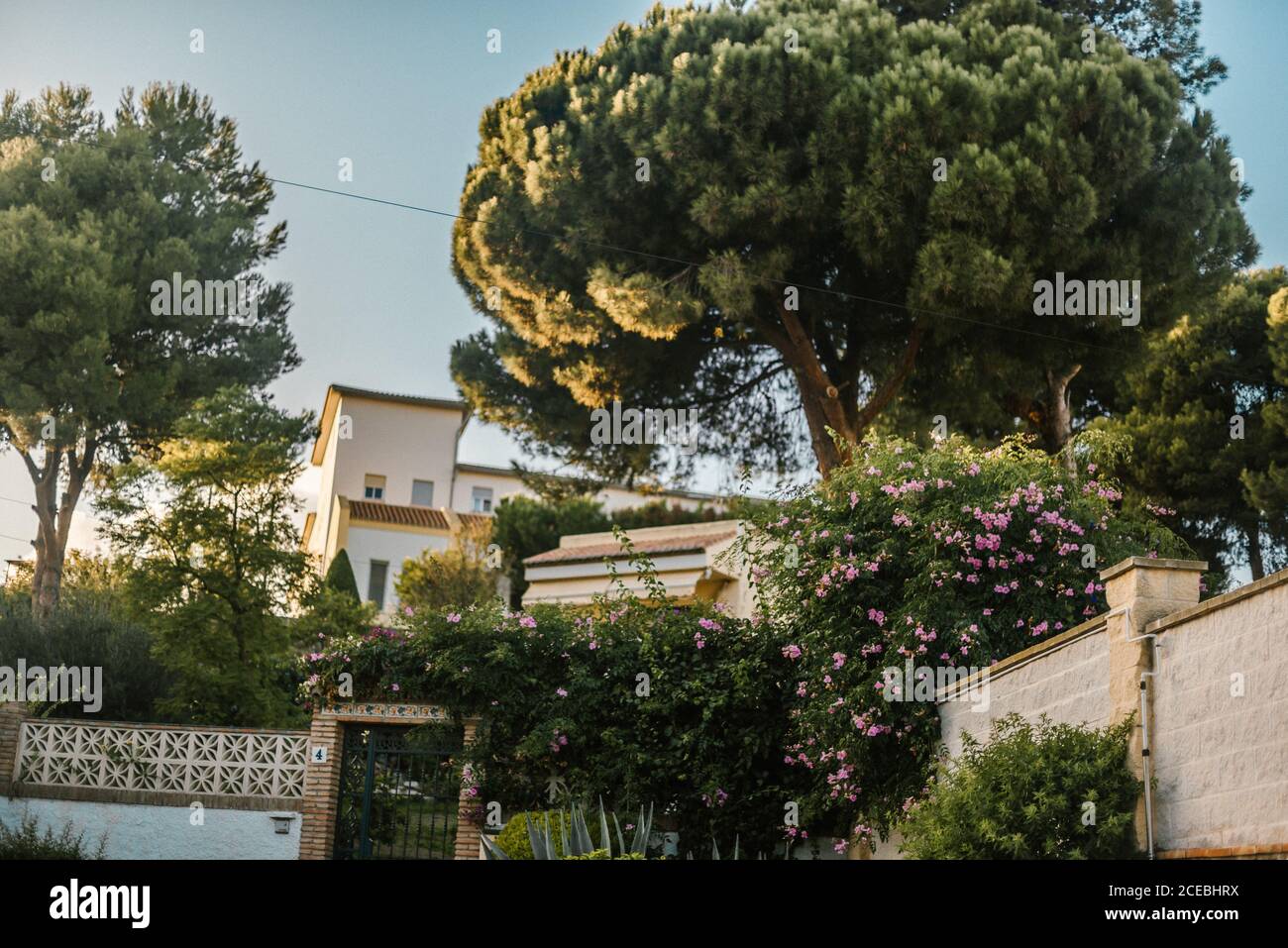 Luxury villas on town street Stock Photo - Alamy