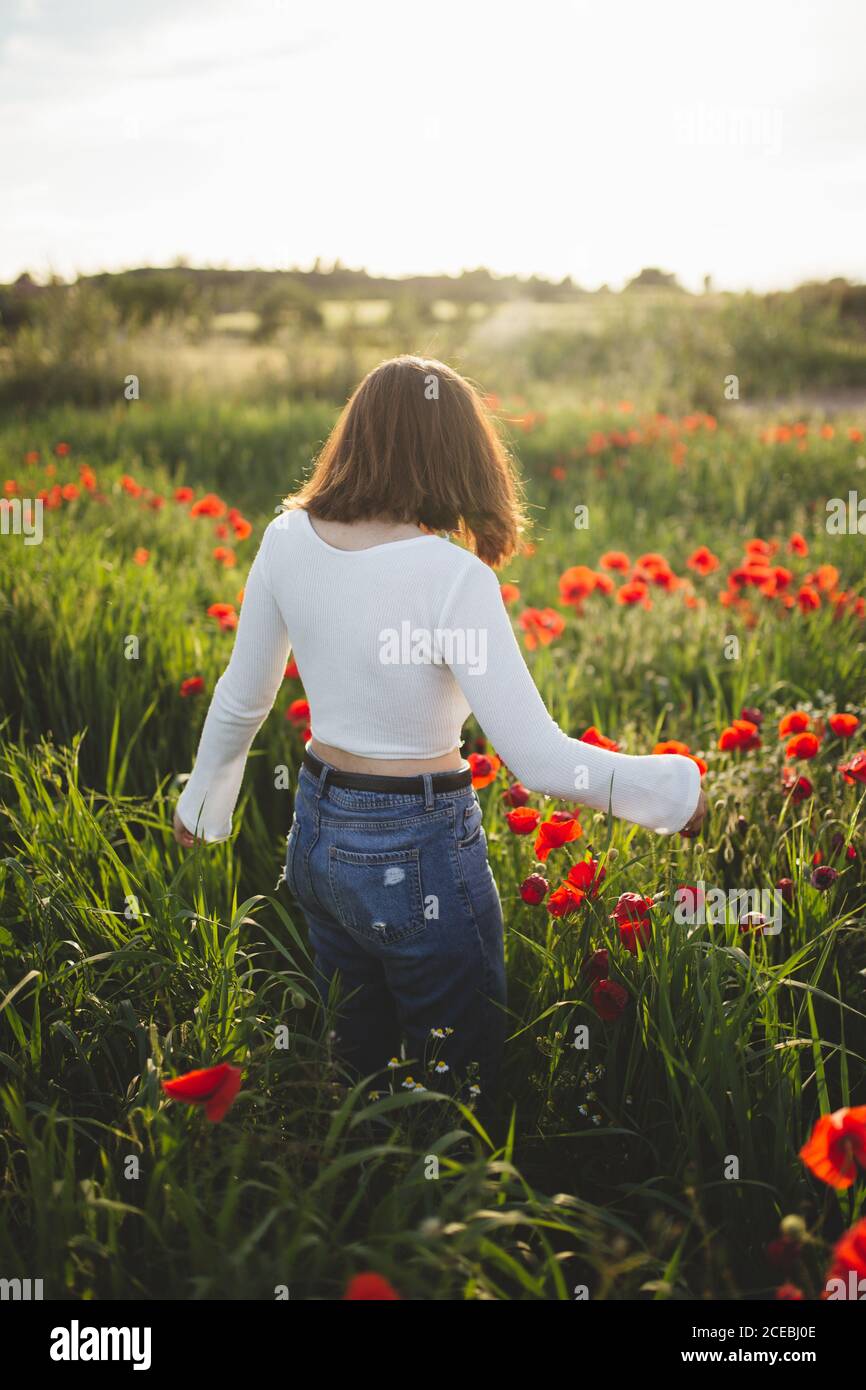 High rise building with glass mirrored walls located on street of ...