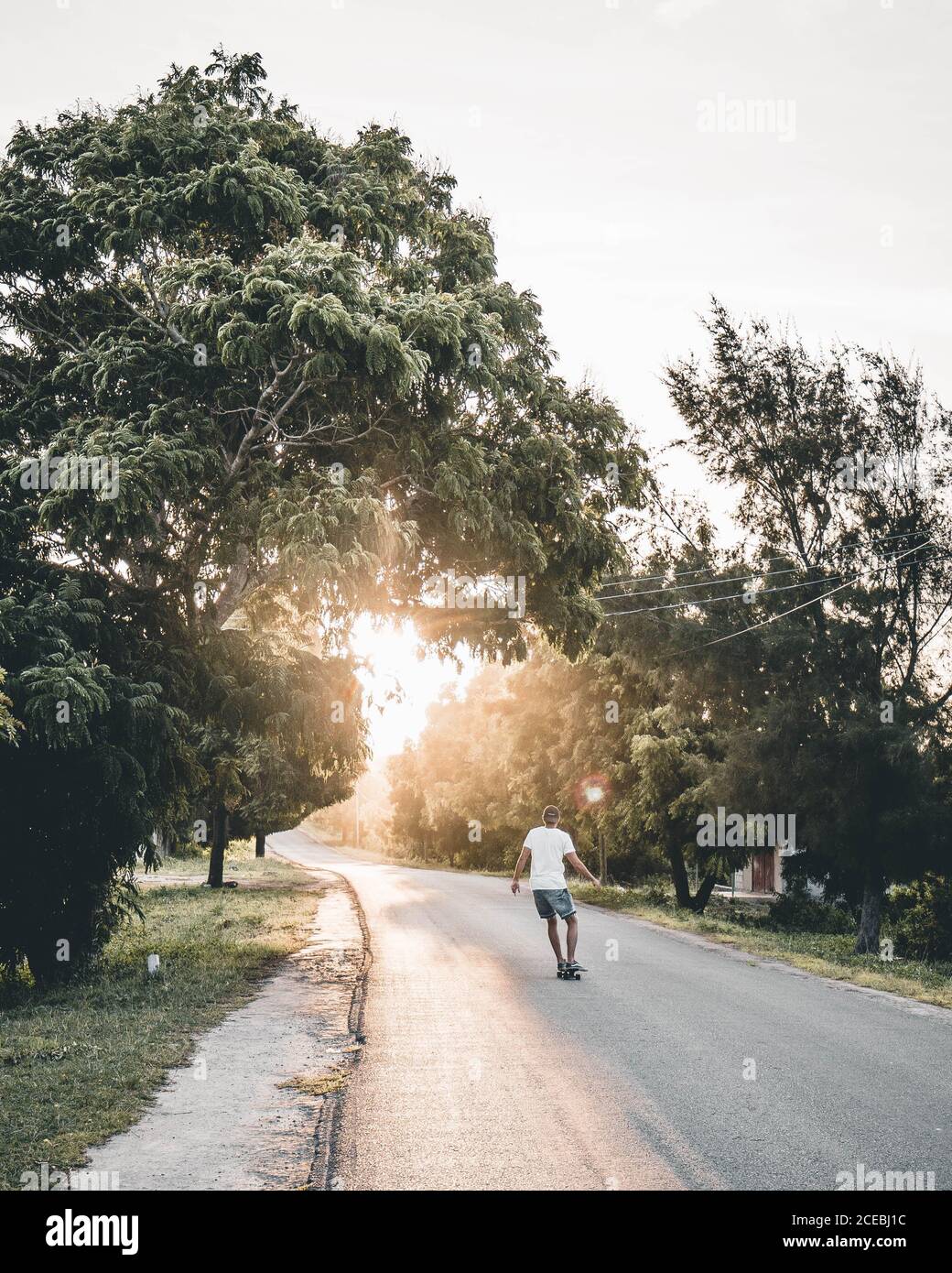 Back of skater hi-res stock photography and images - Alamy
