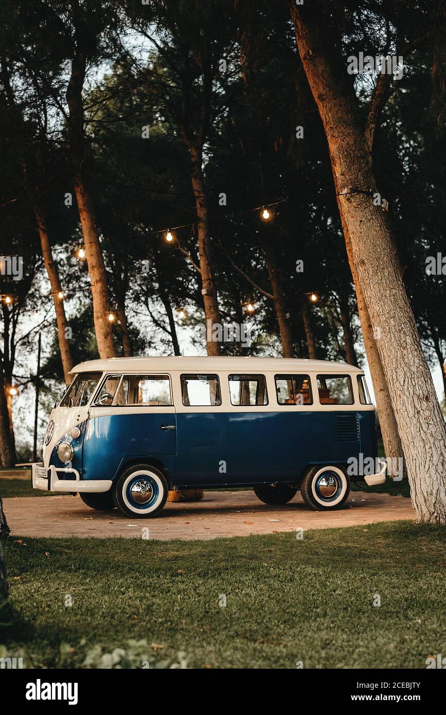 Side view of vintage blue van parked in the woods Stock Photo - Alamy