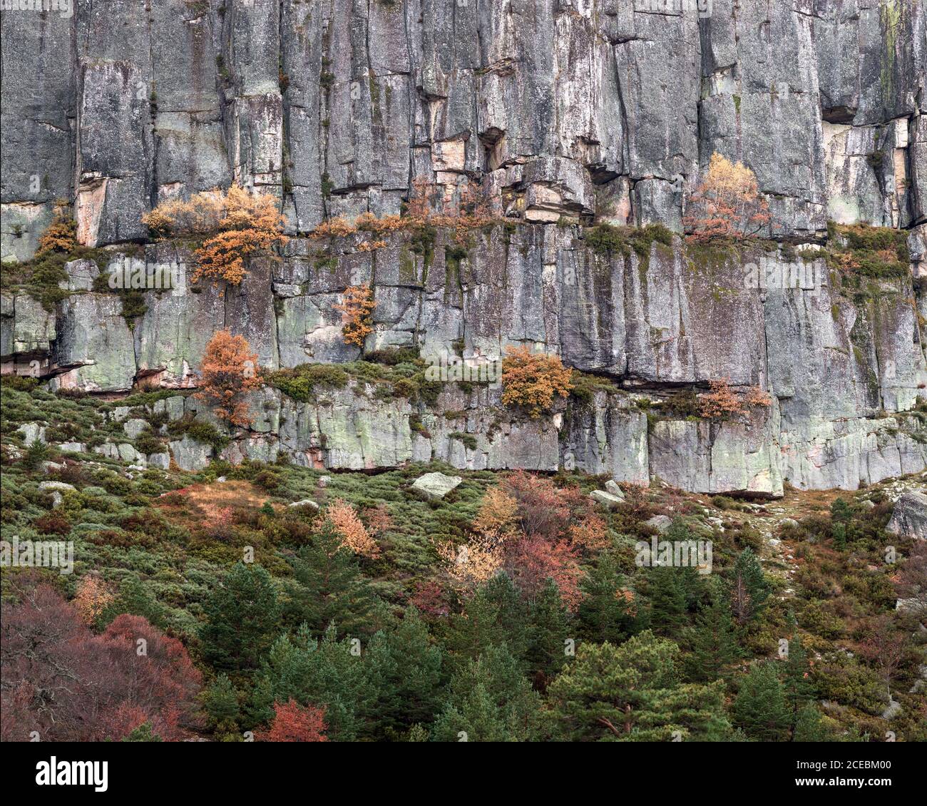 Autumn trees on cliff Stock Photo - Alamy