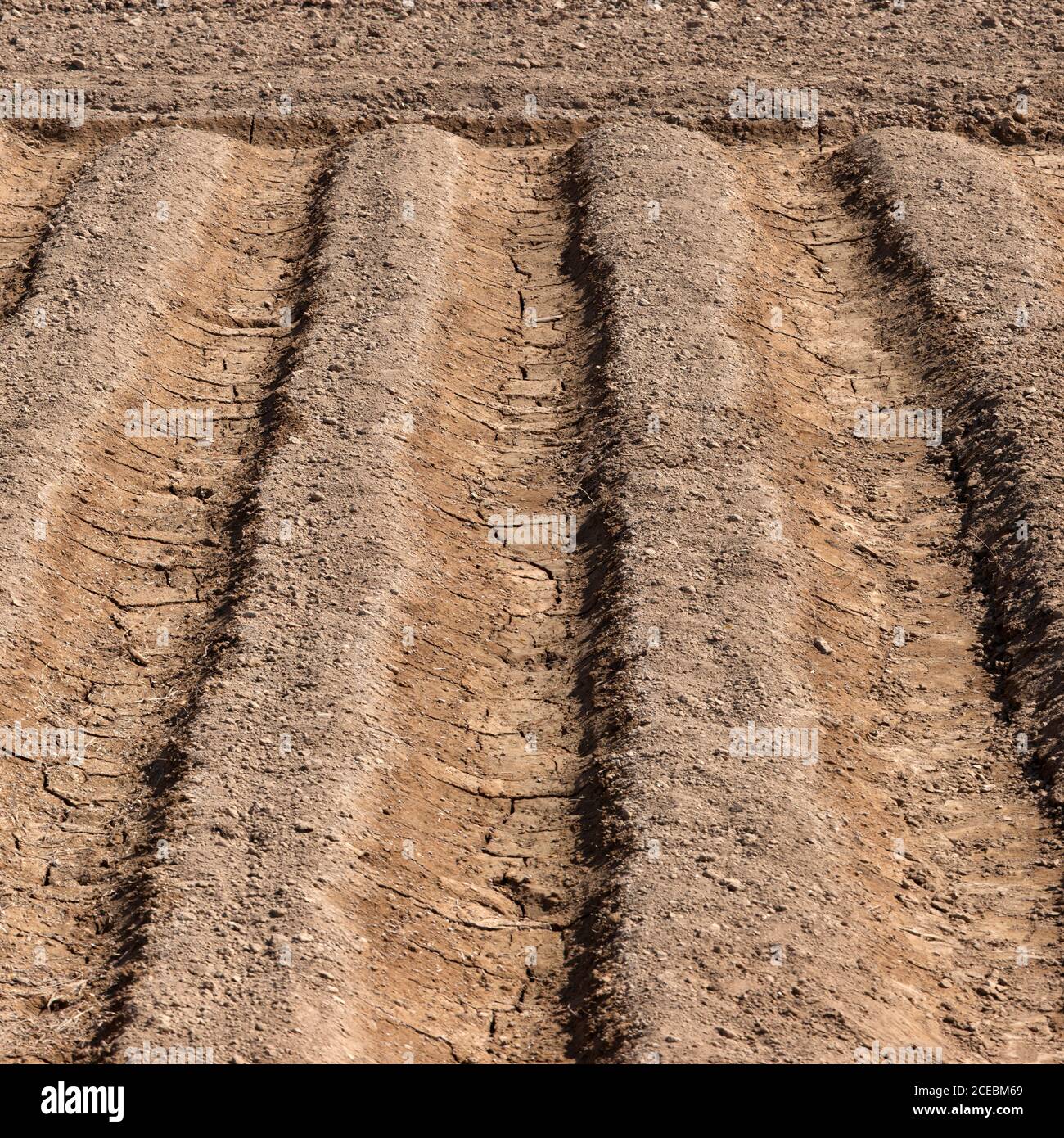 Plowed rows hi-res stock photography and images - Alamy