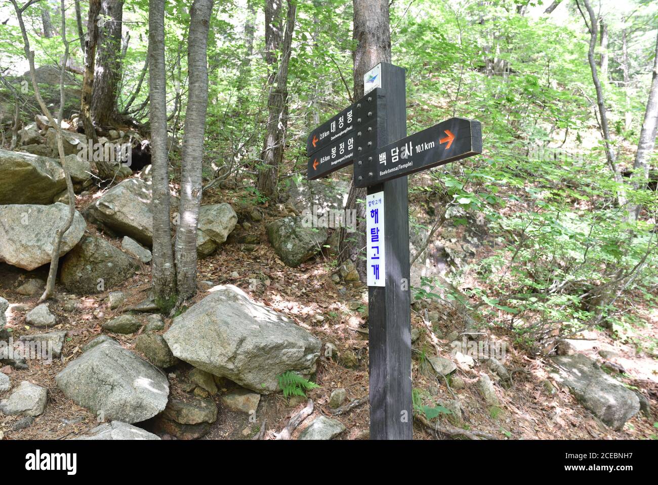 Starting point of the Liberation Pass. 1 hour of steep uphill follows ...