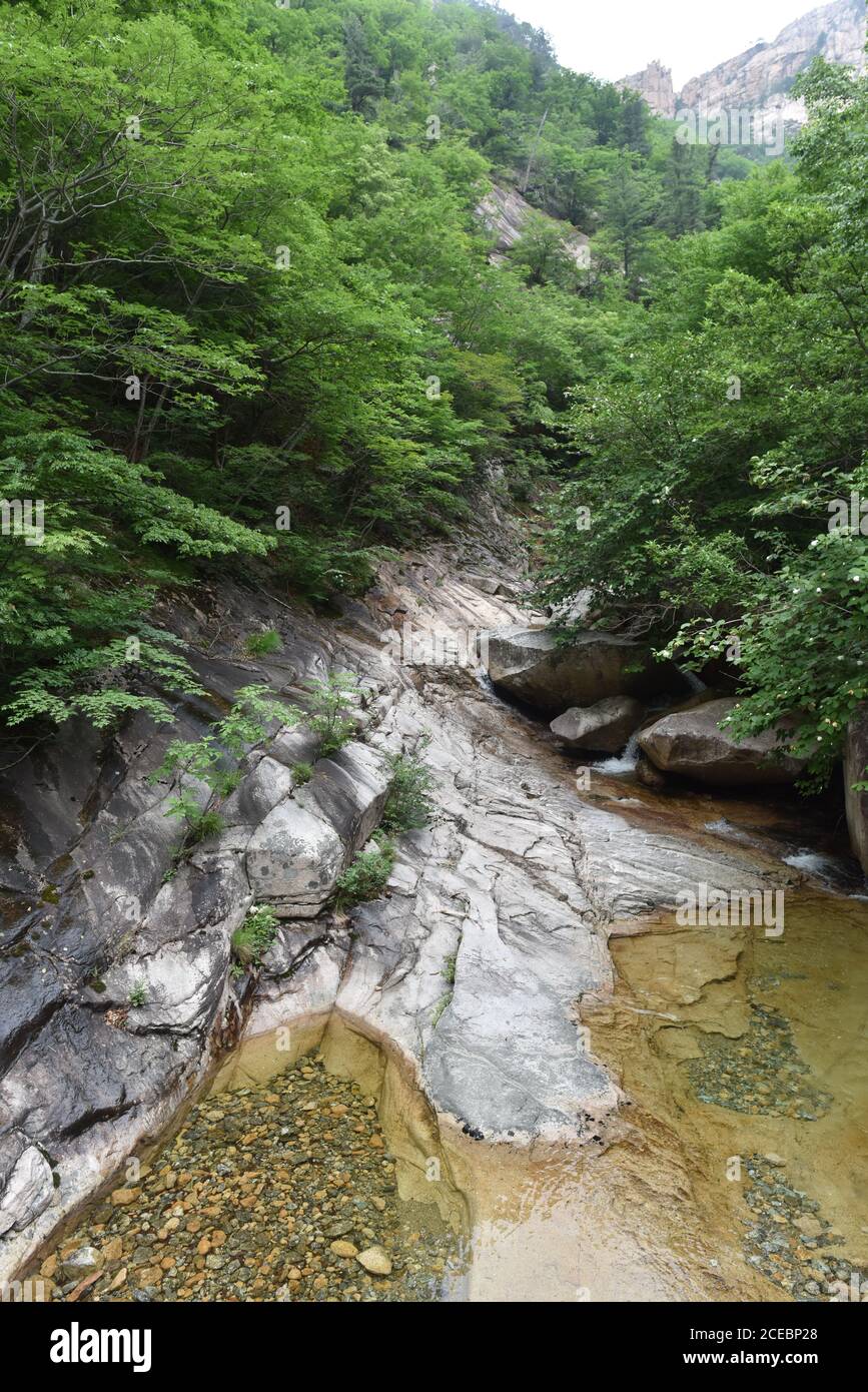Fresh valley water through forest. 21 Jun 2019, Seoraksan National park ...