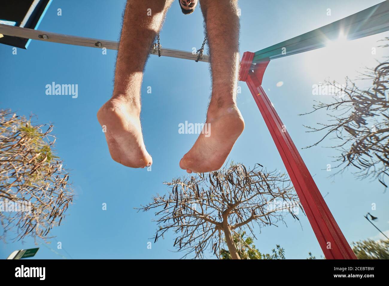 From below of man hanging on swings under trees and blue sky in bright ...