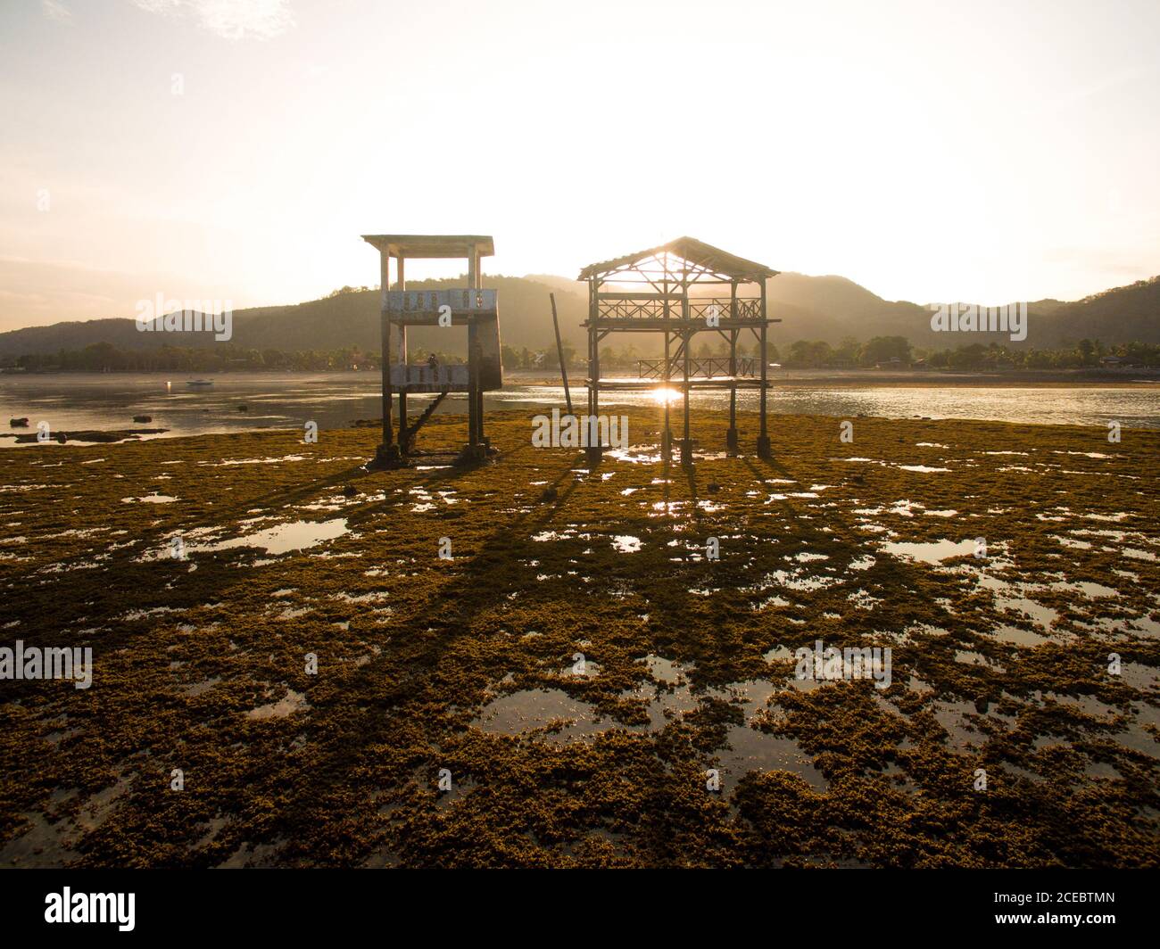 Wooden diving platform hi-res stock photography and images - Alamy