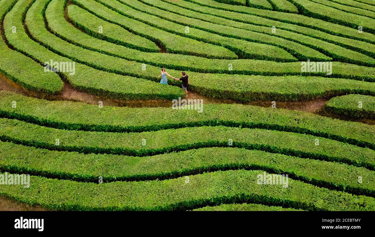 Couple walking in green bush labyrinth Stock Photo - Alamy