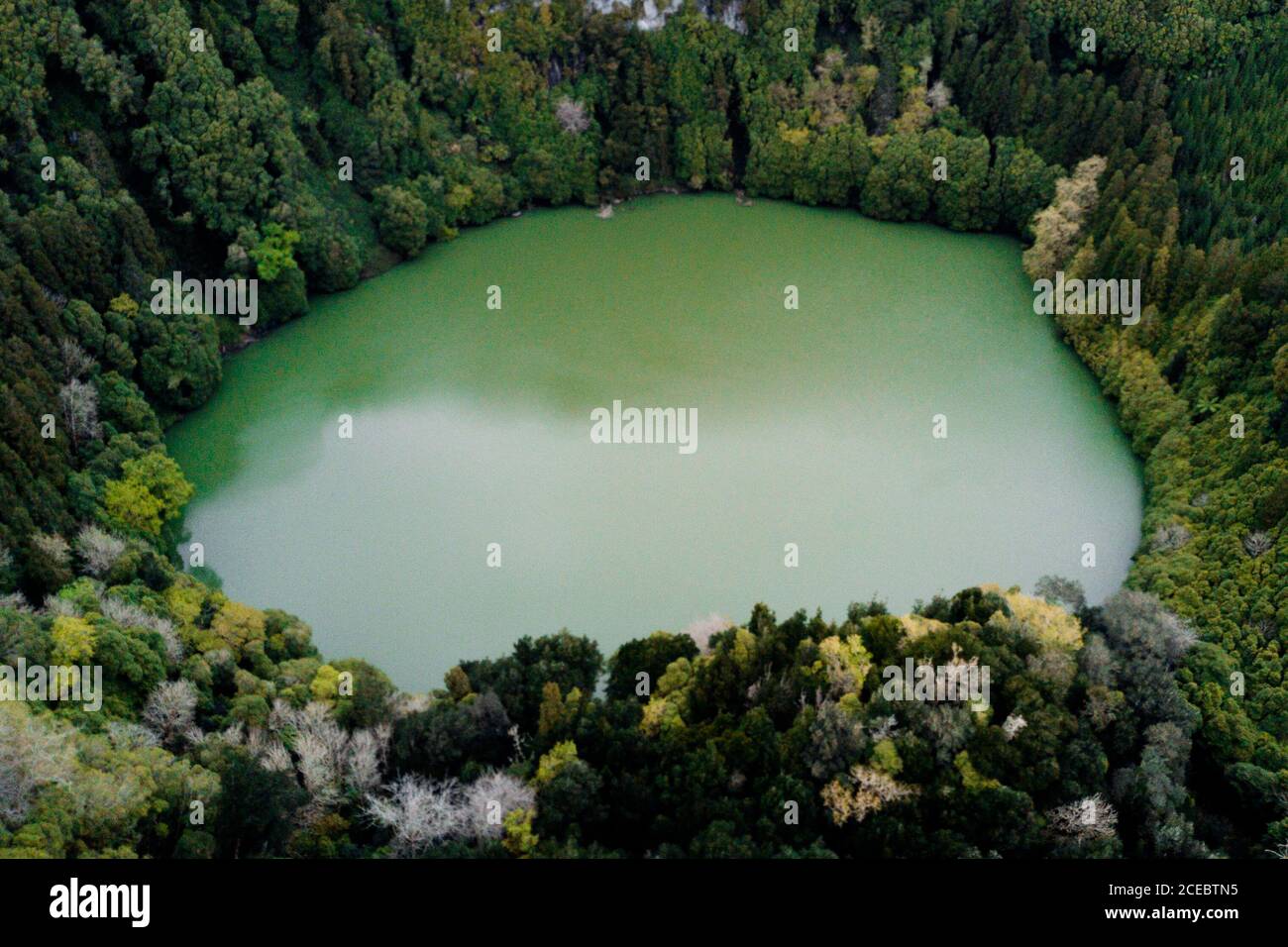 Aerial view of greenish circular lake with turbid water surrounded by ...