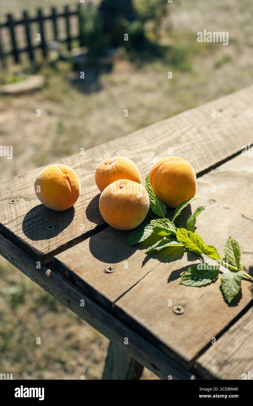 Country peaches hi-res stock photography and images - Alamy