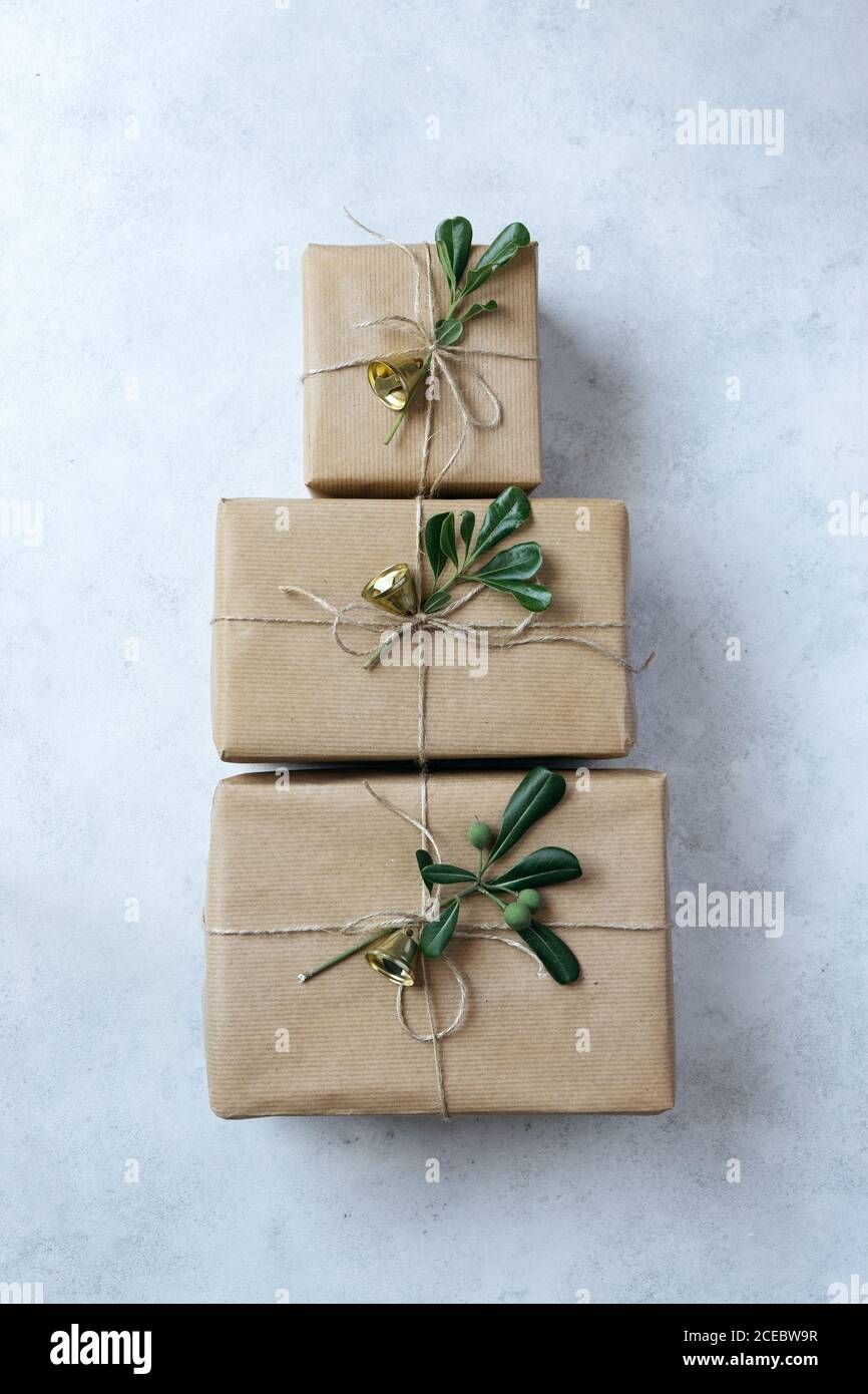 Tree wrapped hi-res stock photography and images - Alamy