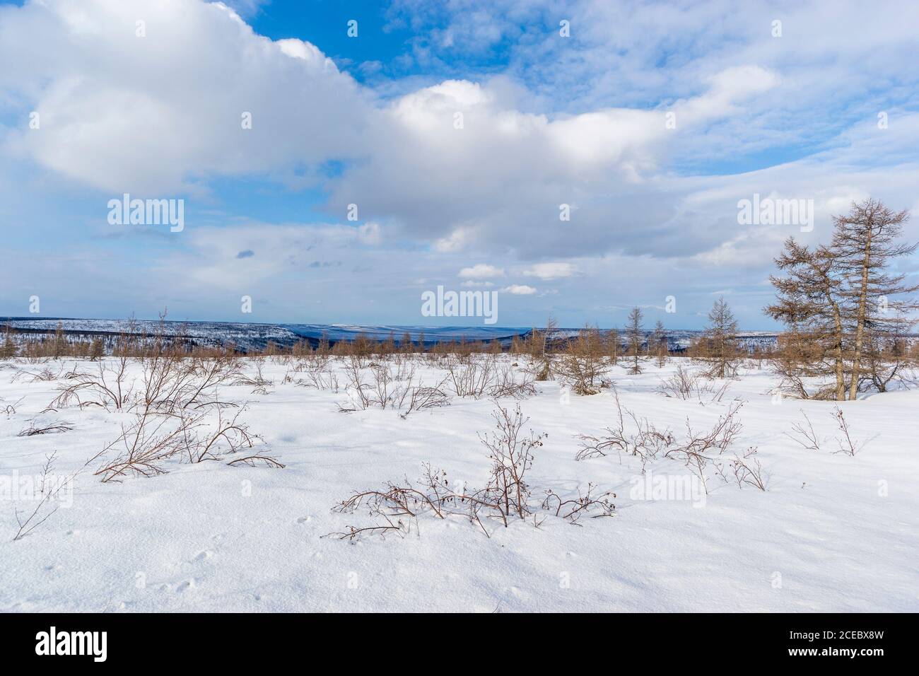 Winter snowscape Winter landscape with forest, cloudy sky and sun ...