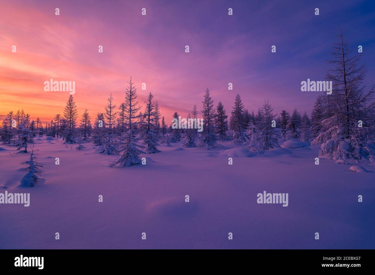 Winter snowscape Winter landscape with forest, cloudy sky and sun ...