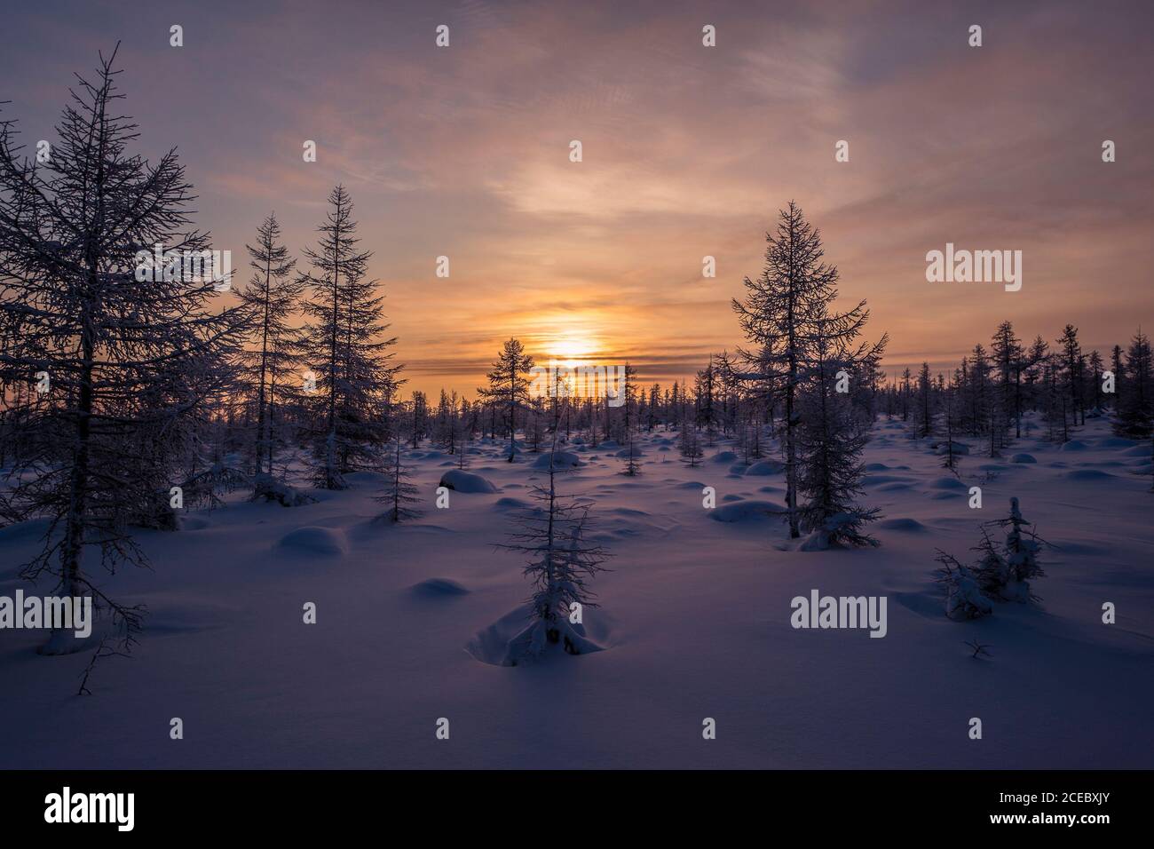 beautiful winter night fairy landscape Stock Photo - Alamy