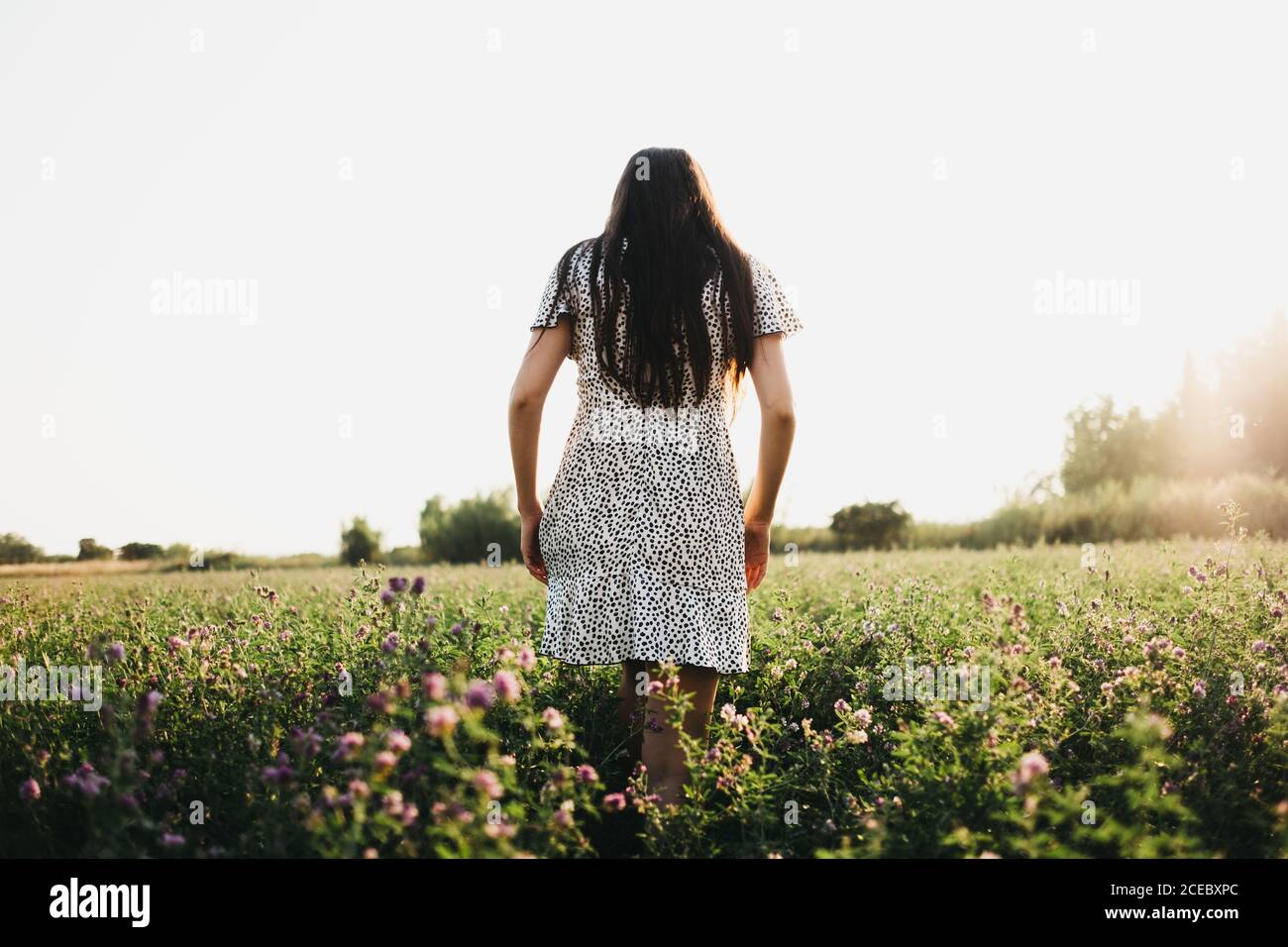 Back view of a woman walking hi-res stock photography and images - Alamy