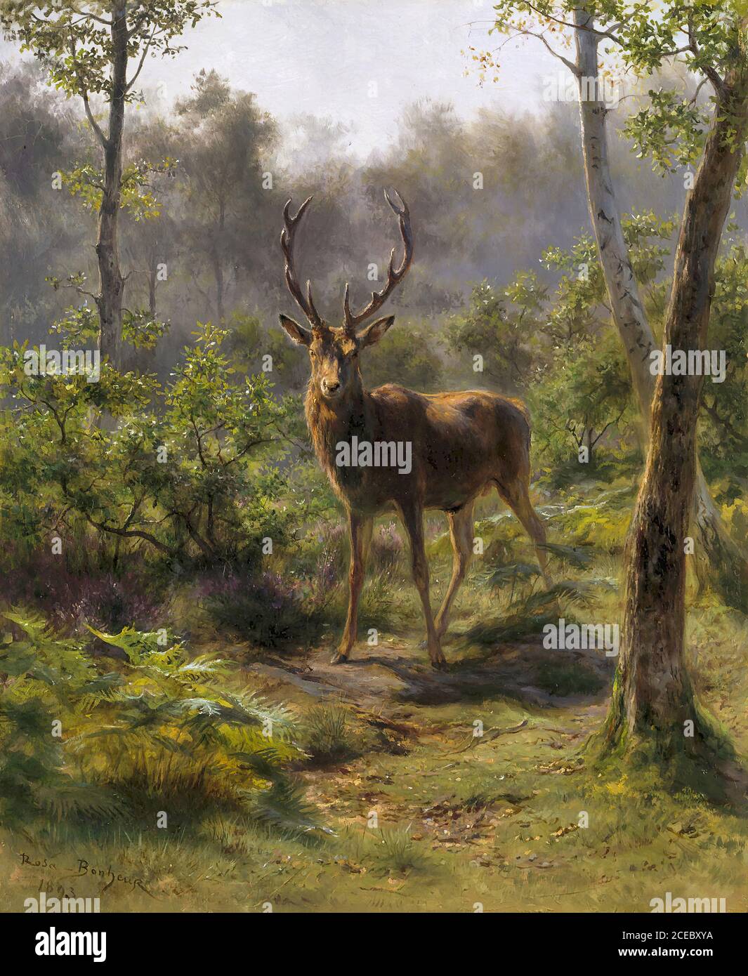 Bonheur Rosa - a Stag - French School - 19th Century Stock Photo - Alamy