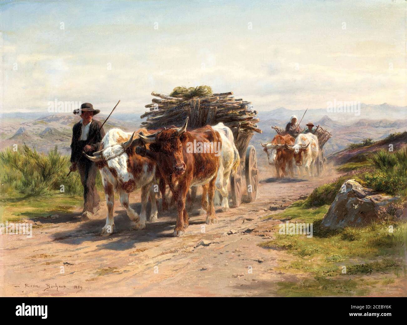 Bonheur Rosa - Charrette Attelée De Vaches Et Bouvier En Auvergne ...