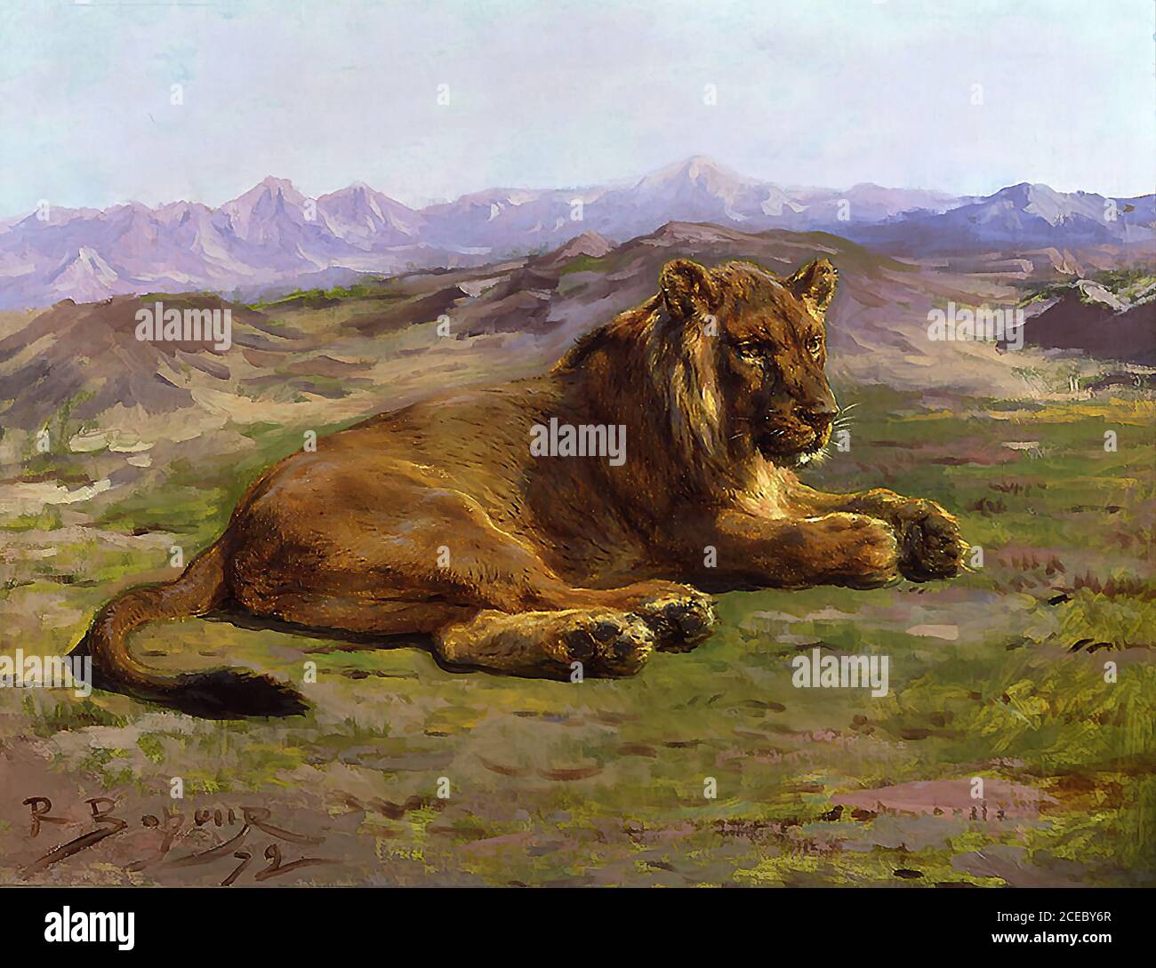 Couching lion hi-res stock photography and images - Alamy