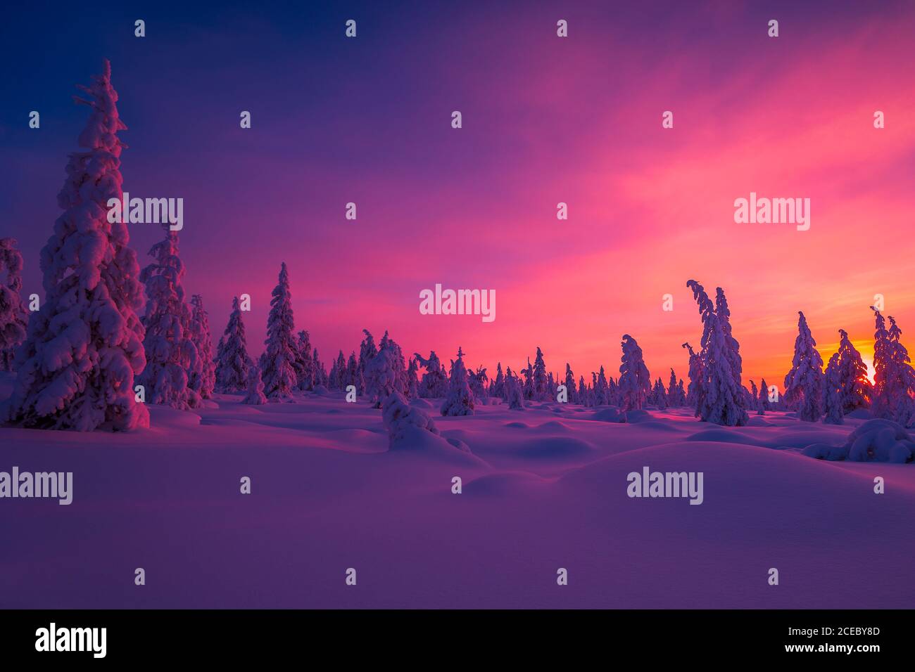 Winter lanscape with sunset, trees and cliffs over the snow Stock Photo ...