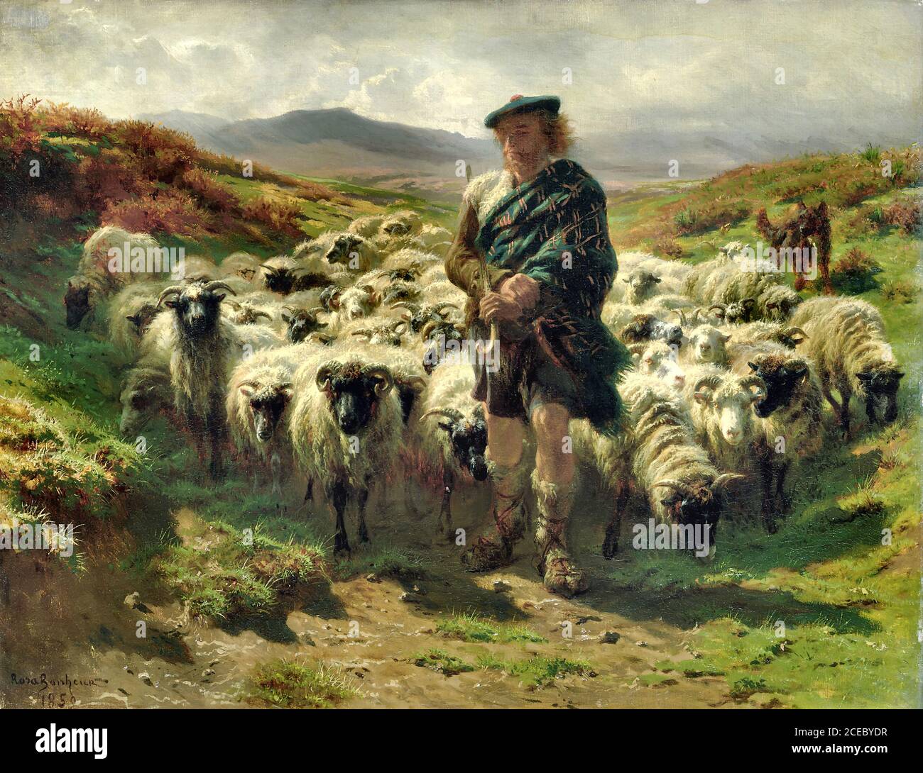 Bonheur Rosa - Highland Sheep - French School - 19th Century Stock ...