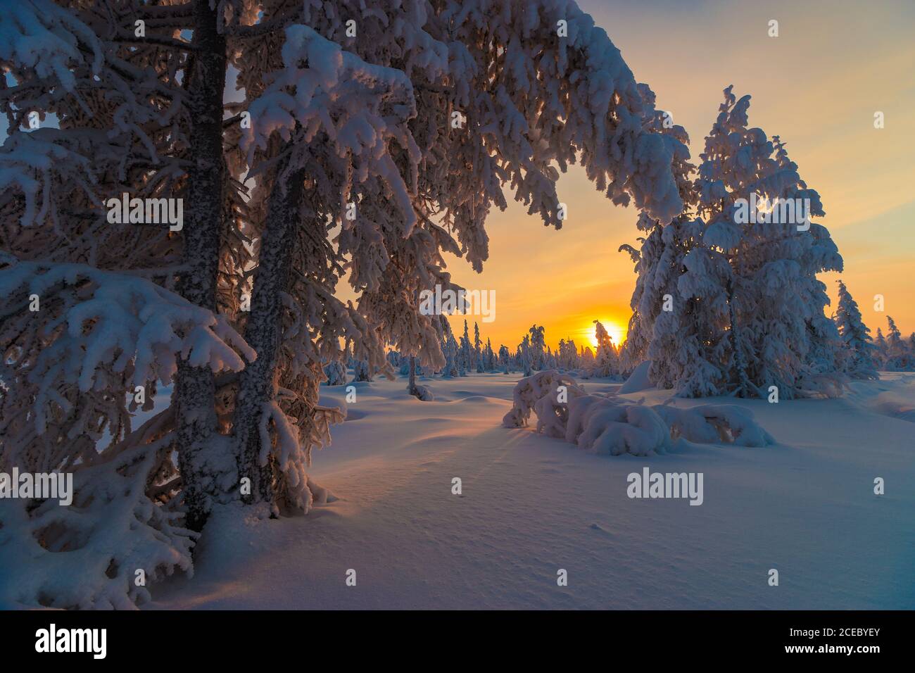 Winter lanscape with sunset, trees and cliffs over the snow Stock Photo ...