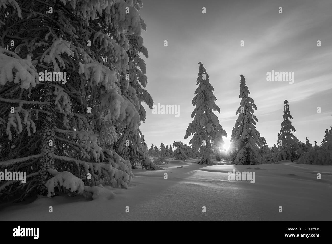 Siberia landscape Black and White Stock Photos & Images - Alamy