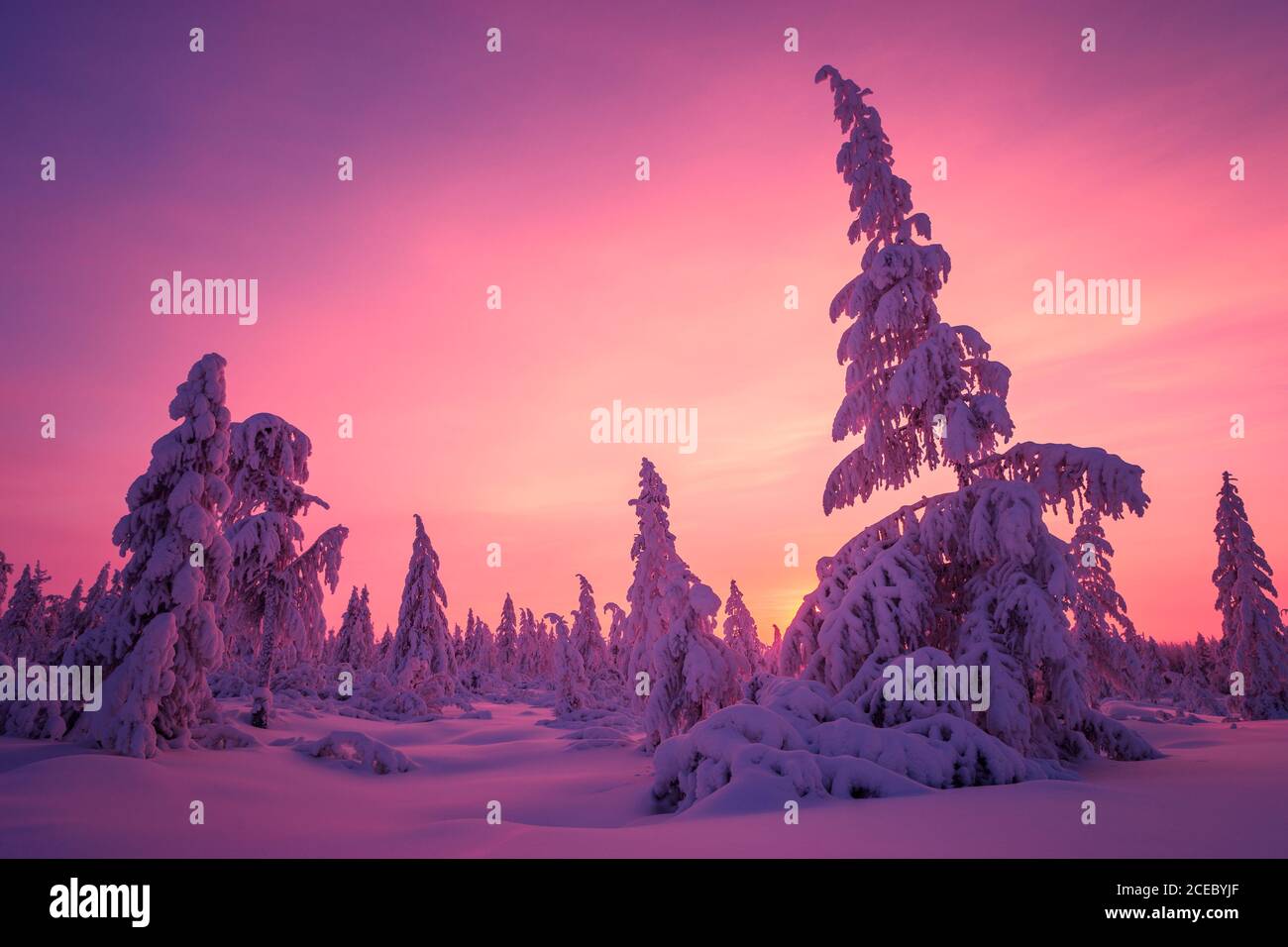 Winter lanscape with sunset, trees and cliffs over the snow Stock Photo ...