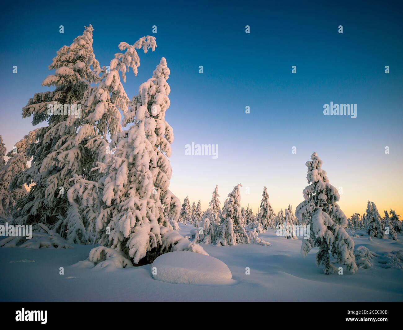 Polar night winter tundra hi-res stock photography and images - Alamy