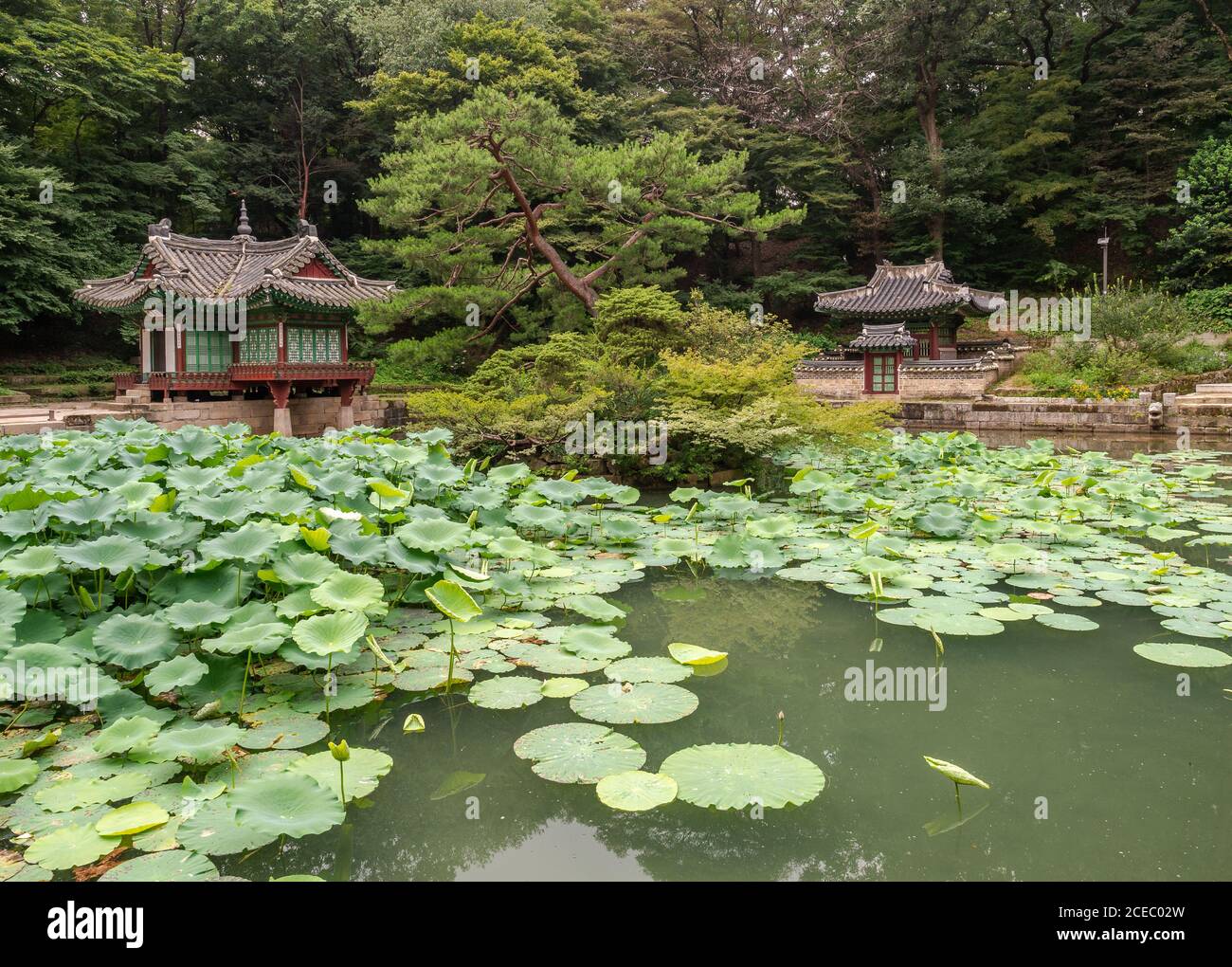 Korean zen hi-res stock photography and images - Alamy