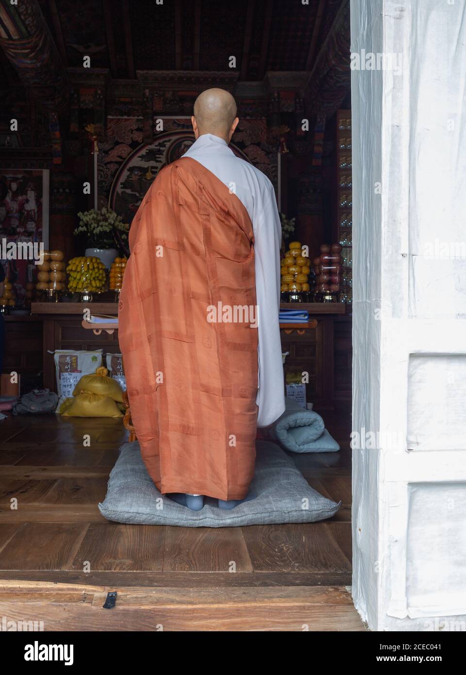Busan, South Korea - August, 05 2017: Back view of bald monk in ...