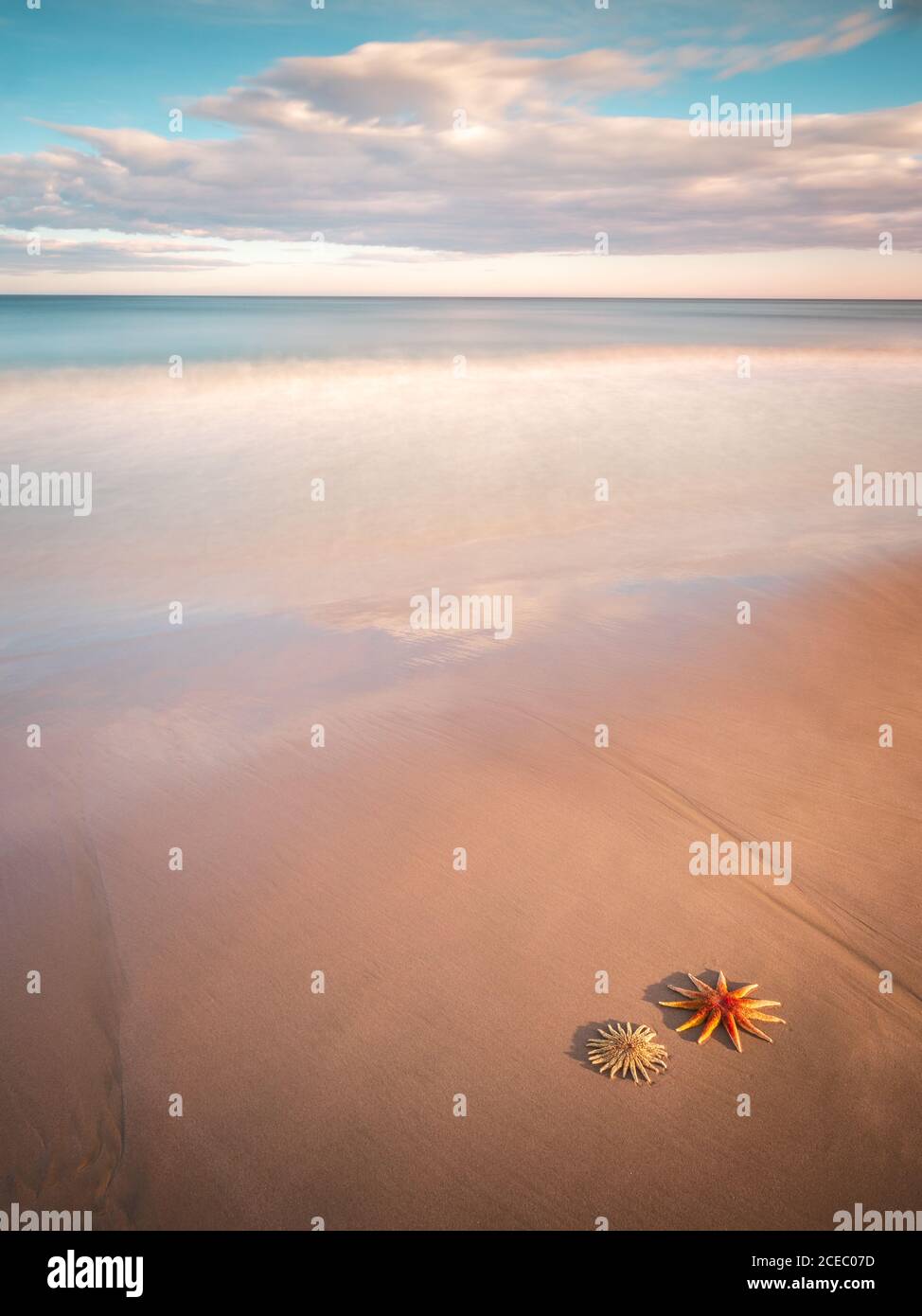 Two beautiful starfish on sandy beach near waving sea on cloudy day ...