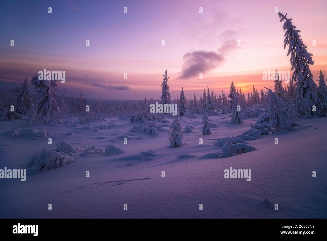 Wonderful winter scene in at night with a brilliant moon lighting the ...
