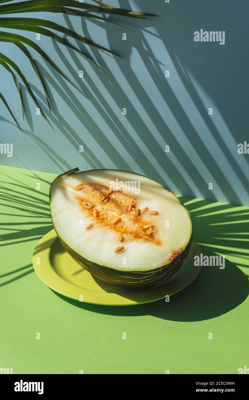 Half Melon toad skin, Colorful summer theme. in blue and green ...