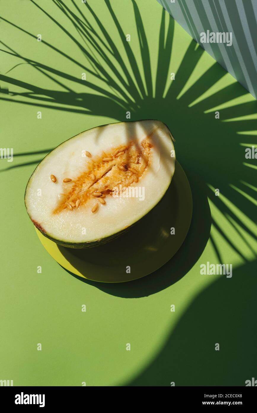 Half Melon toad skin, Colorful summer theme. in blue and green ...