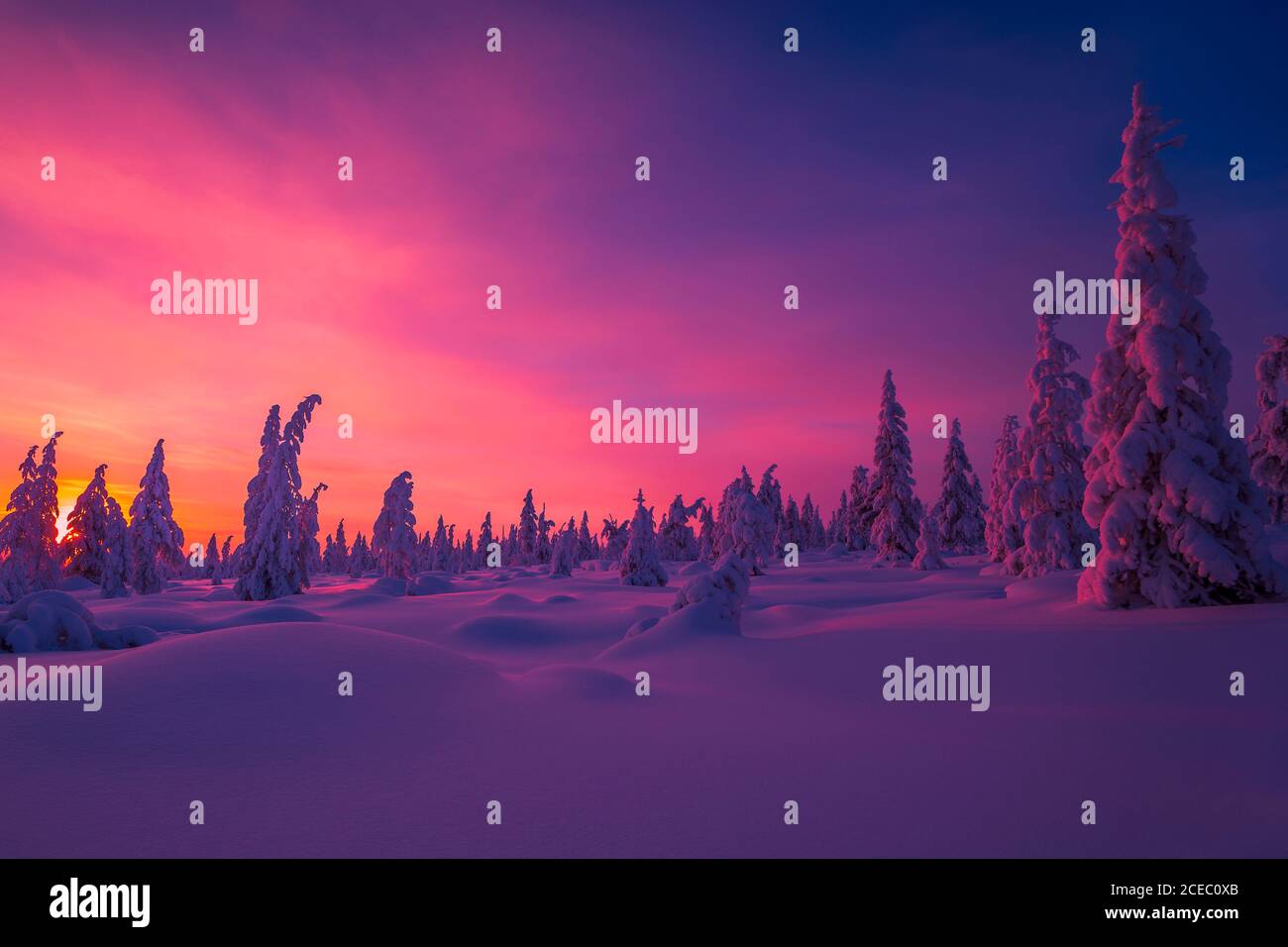 Wonderful winter scene in at night with a brilliant moon lighting the ...